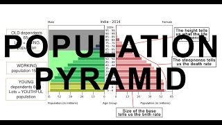Population Pyramid of India - Growth Disitribution Dive... | Doovi