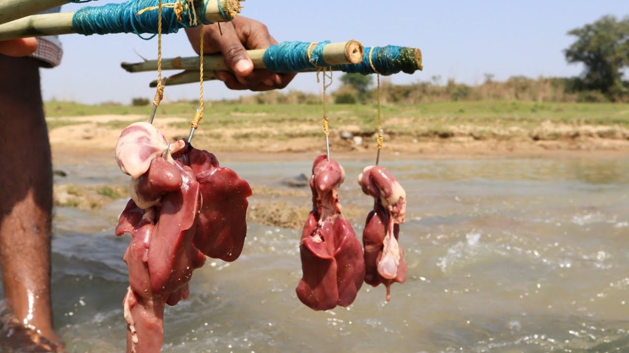 Fishing video | The lady catching big fish using chicken liver in the ...