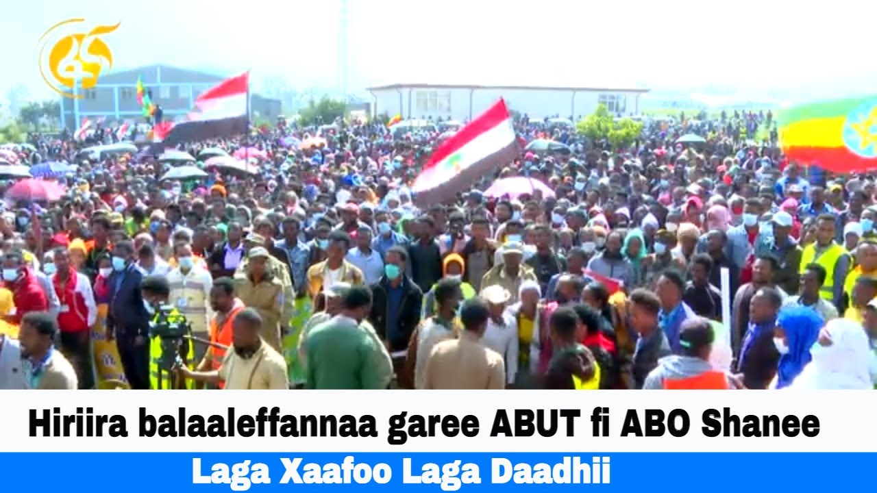 Hiriira balaaleffannaa garee ABUT fi ABO Shanee Laga Xaafoo Laga ...