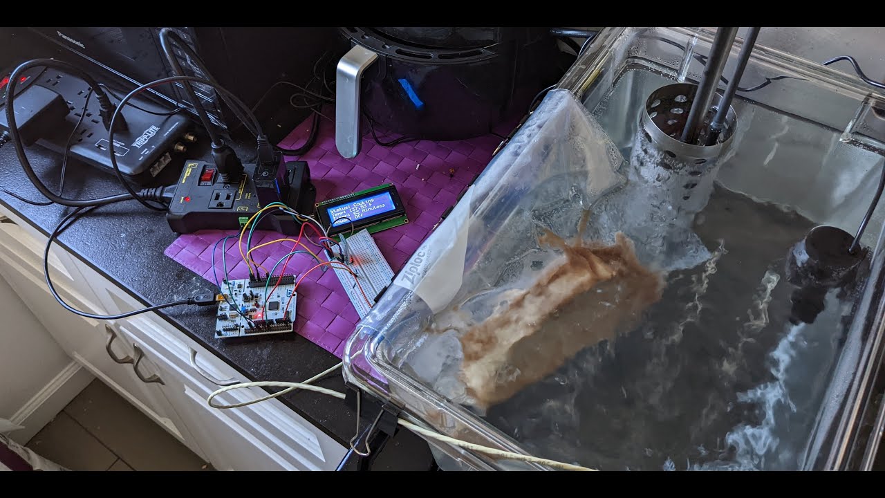 SVM32 | ECE 153B Project Demo - YouTube