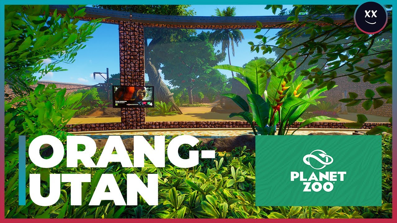 Planet Zoo Orangutan Climbing habitat & Indoor viewing Area | [15 ...