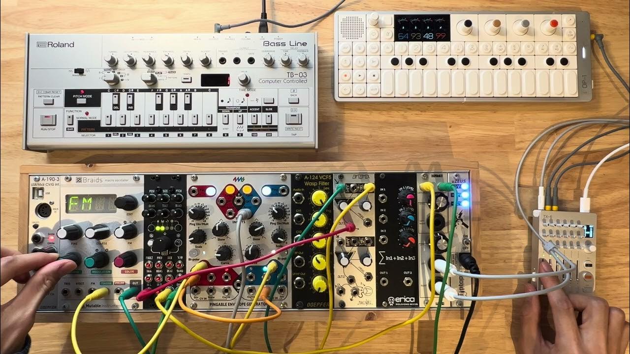 Modular Synth / TB-03 / OP-1 field ☁️Clouds 2024-01-31☁️【Daily Sound Experiment】 - YouTube