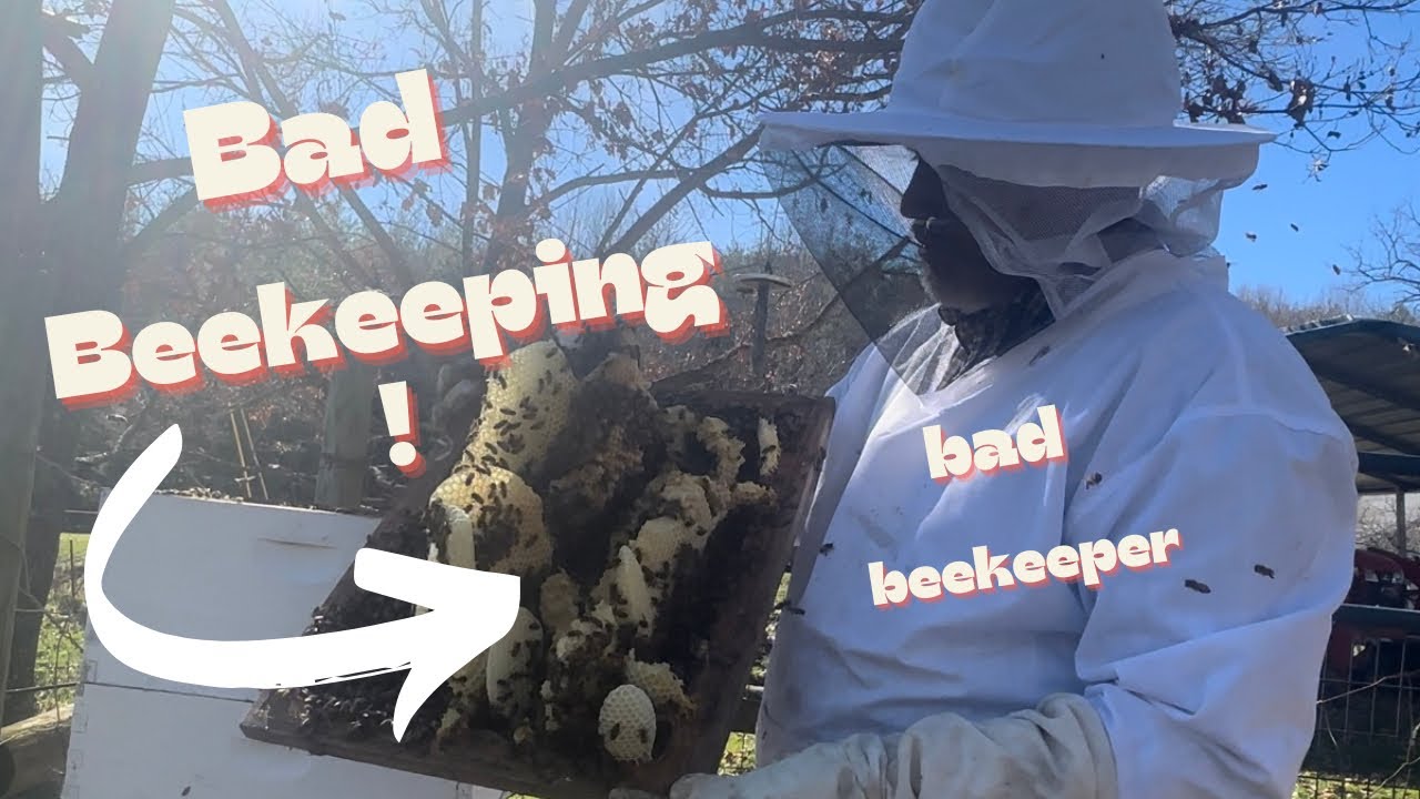 Bad beekeeping!! (I’m Guilty) - YouTube