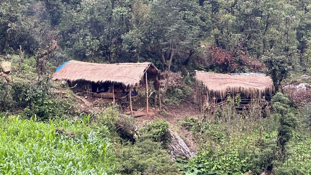 must peaceful and beautiful himalayan village || daily activities of ...