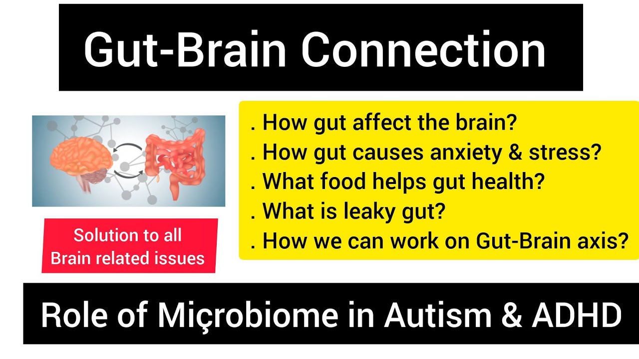 Gut-Brain connection/ solution of all brain related issue/brain ...
