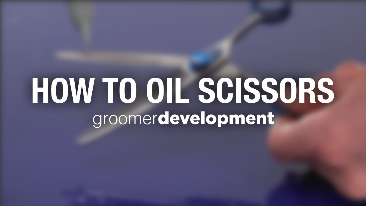 How to Oil Scissors - Groomer Development - YouTube