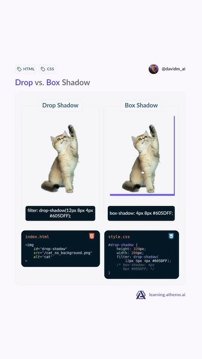 Drop Shadow And Box Shadow 🧑‍💻🚀 Css3 Htmlcss Html Webdesign Coding Html5 Webdevelopment