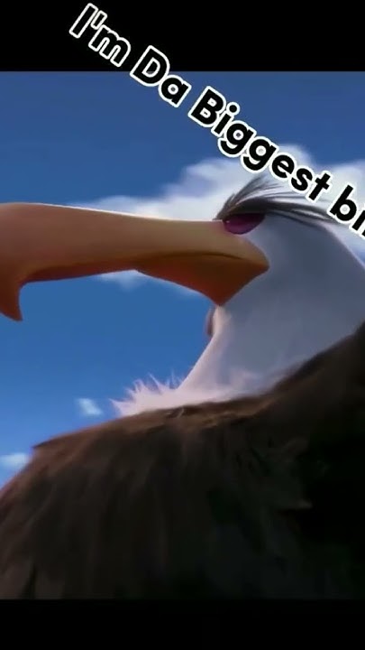Im Da Biggest Bird Youtube