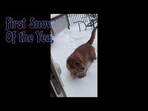 First Snow of the Year - YouTube