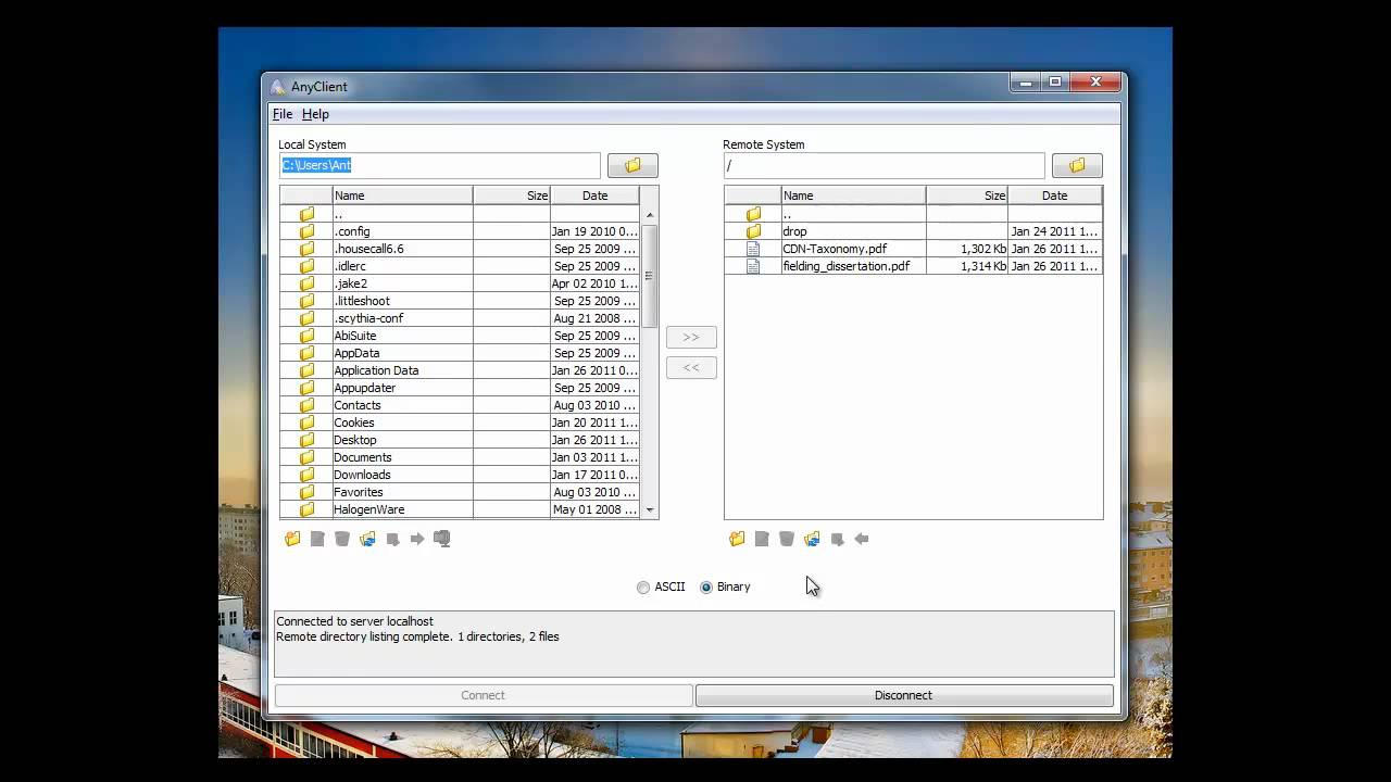 Using JSCAPE's AnyClient - YouTube