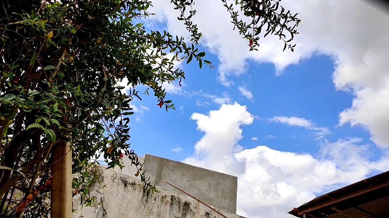Poco m2 pro  cinematic video sample  YouTube poco m2 pro video sample