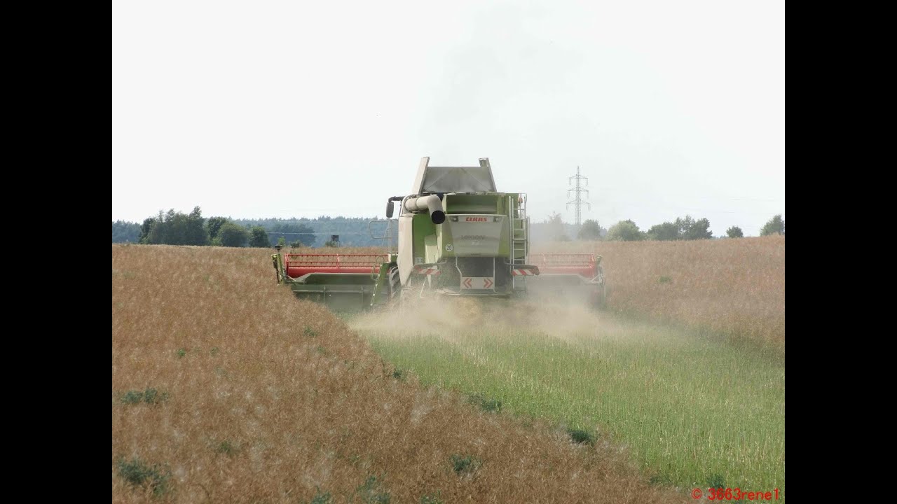 Rapsernte 2014 in Full HD - YouTube