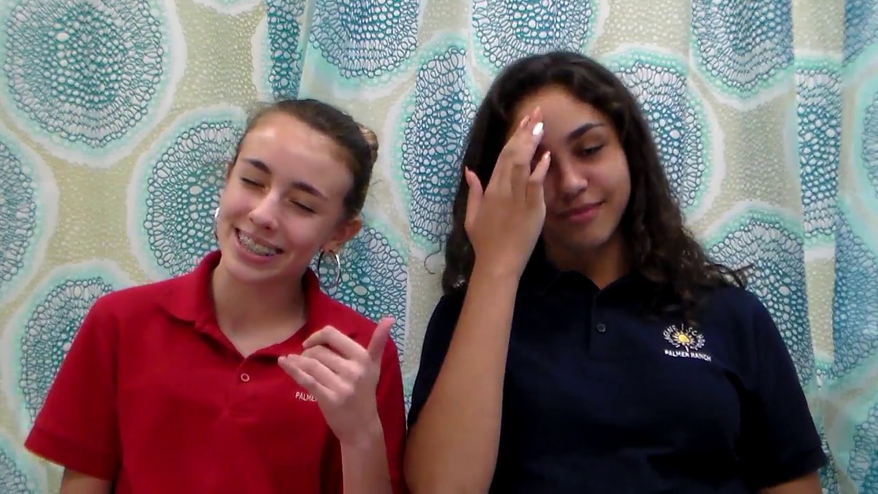 Imagine School at Palmer Ranch News 2/27/18 - YouTube