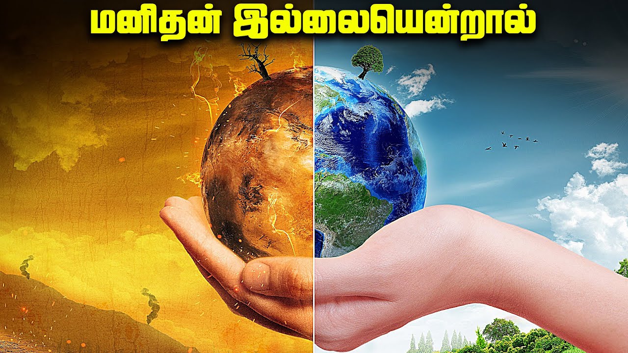 மனிதர்கள் இல்லாத உலகம் எப்படி இருக்கும் - No Human Earth - YouTube