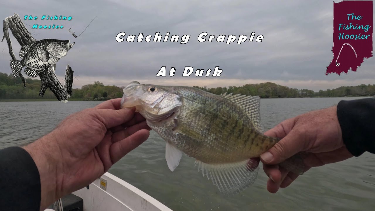 Fishing for Crappie at Dusk! #fishing #fish #fishingvideos - YouTube