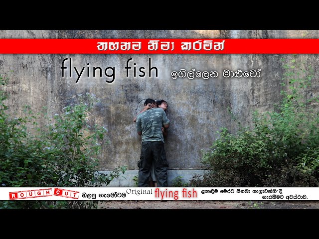 Flying Fish Movie
