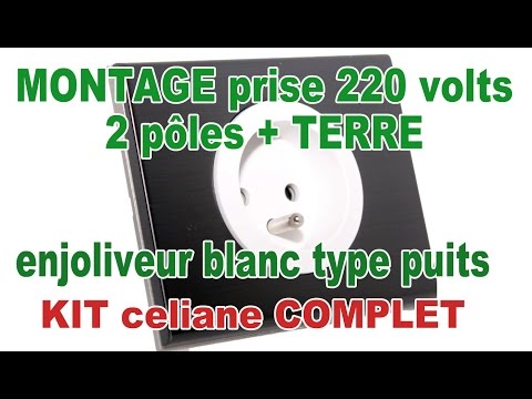 PRISE celiane black nickel 67111 enjoliveur BLANC PUITS 68112 finition celiane 69031 metal