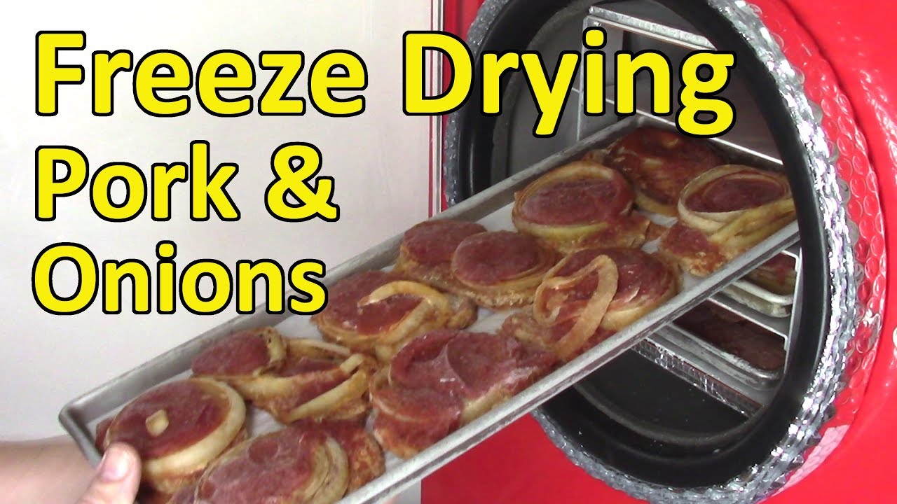 Freeze Drying Pork & Onions - YouTube
