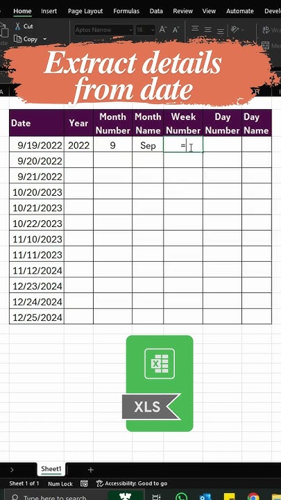 Extract Details from a Date in Excel | #exceltips #excelforbeginners #excelhacks - YouTube