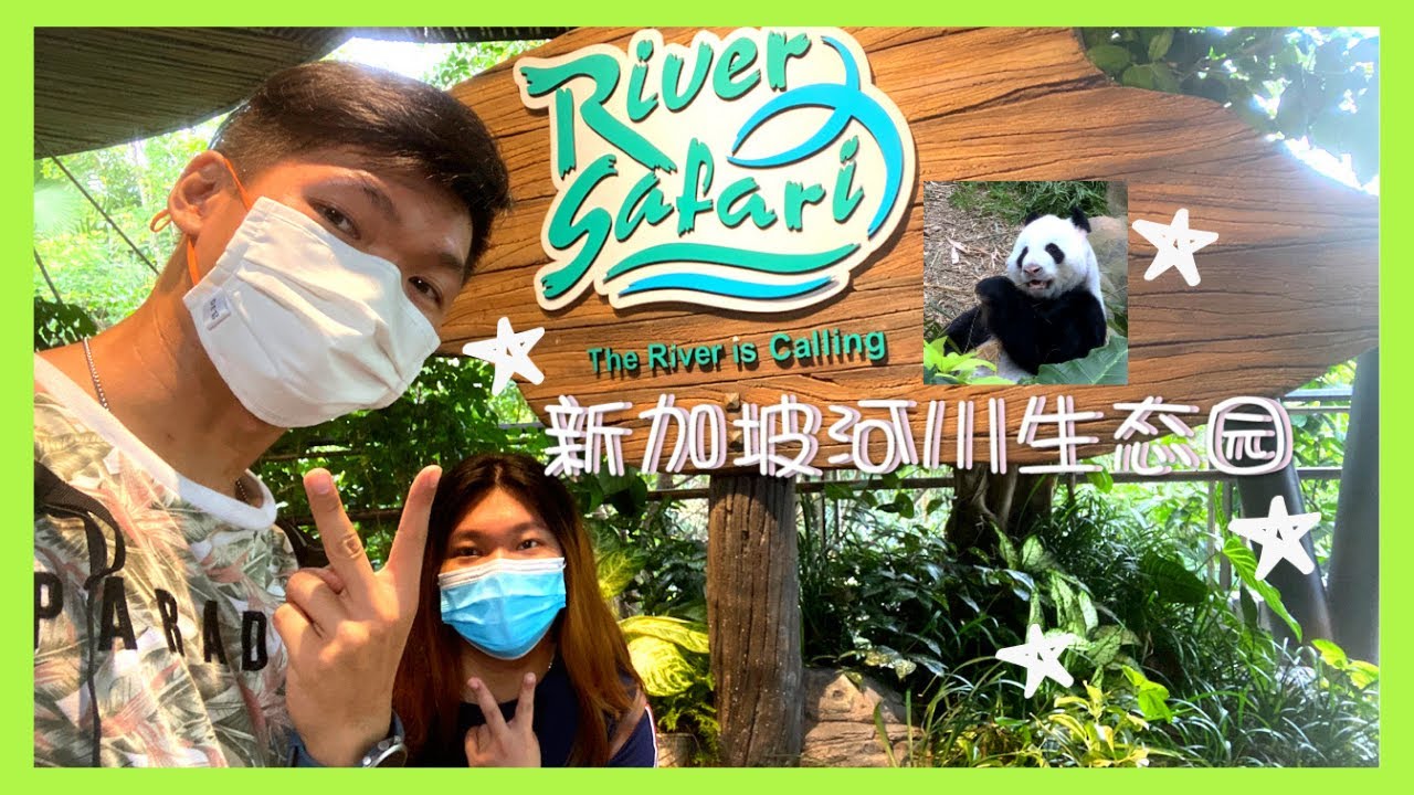【4K】🐼 Tour of River Safari 【疫情期间】新加坡河川生态园 ｜【双文 Bilingual Subtitle ...