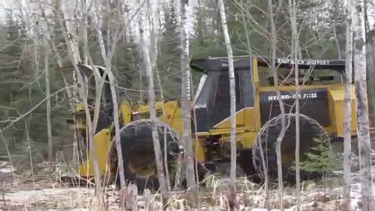 NFA Field Office Logging 3 - YouTube