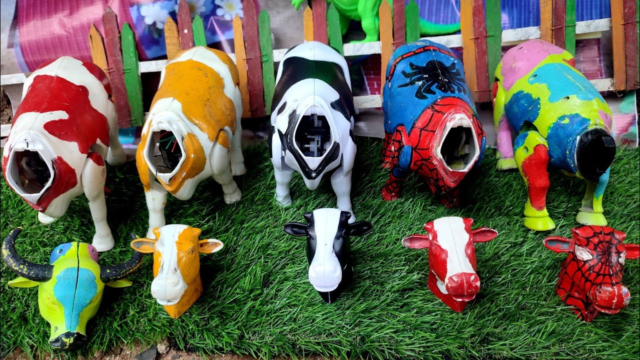 Wadidau‼️Proses Potong Sapi Moo | Proses Melahirkan Cesar Kerbau & Kuda ...