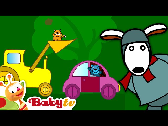 Car, Bicycle & Bus! 🚗 Learn about Vehicles @BabyTV - Videos For Kids