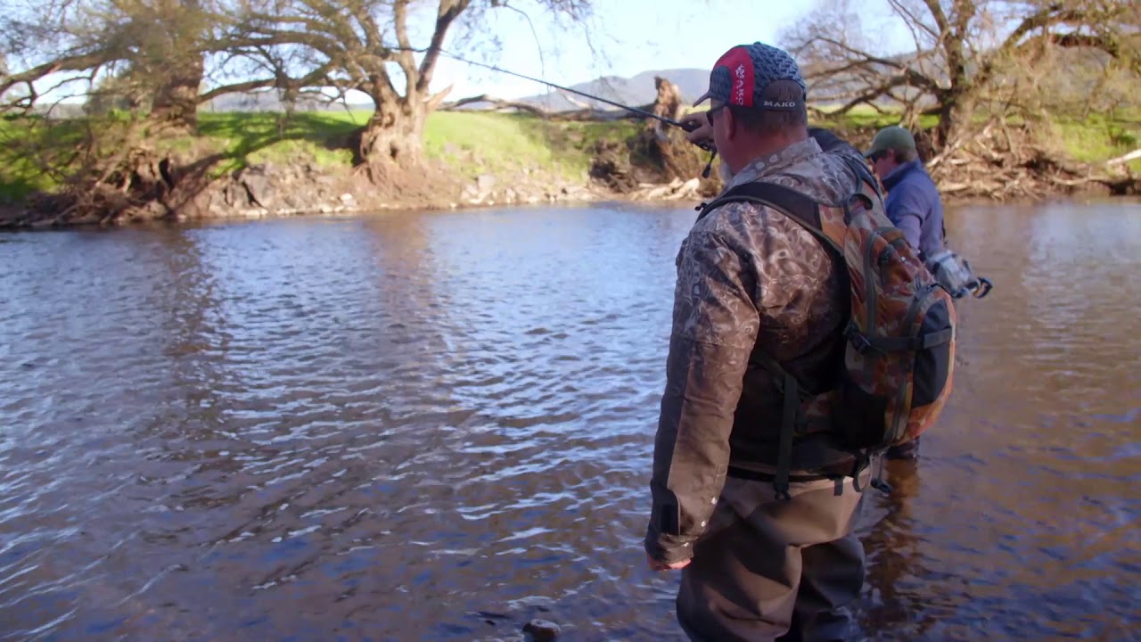 EPISODE 5: Trout on the Mitta Mitta River - YouTube