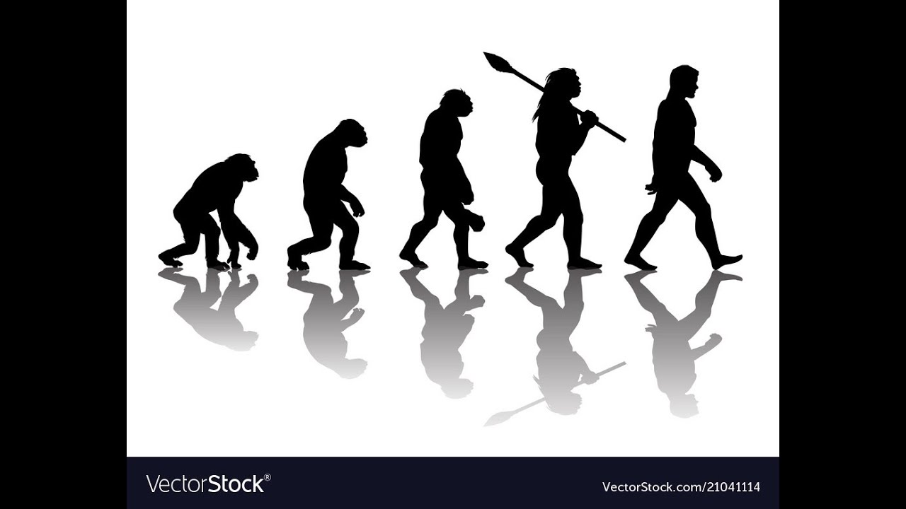 ICSE | CLASS 5 | CHAPTER 1 - EVOLUTION OF MANKIND (PART 2) | EVERGREEN ...