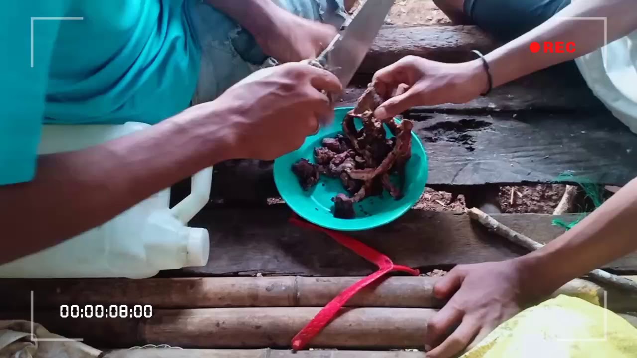 Rejultadu husi Tunu Karau Timor - YouTube
