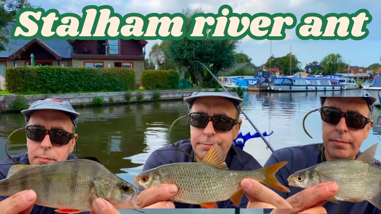 Stalham river ant feeder & float fishing good size Rudd roach perch coarse angling Norfolk ...
