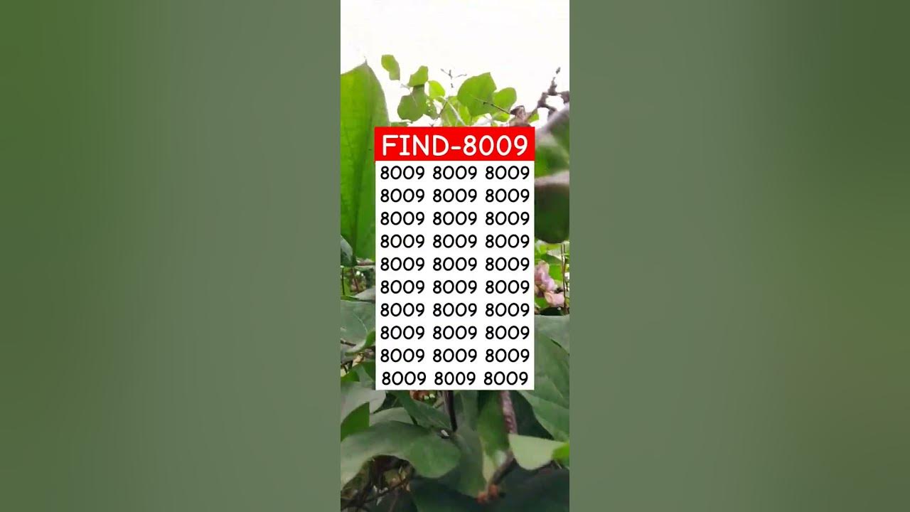 FIND-8009 Try Your Skills! #shorts #puzzlegame #brainteaser - YouTube