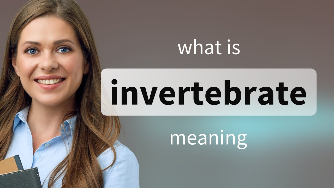 Invertebrate | meaning of INVERTEBRATE - YouTube