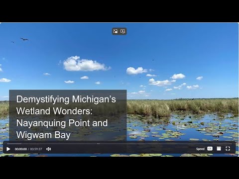 Demystifying Michigan's Wetland Wonders: Nayanquing Point and Wigwam ...
