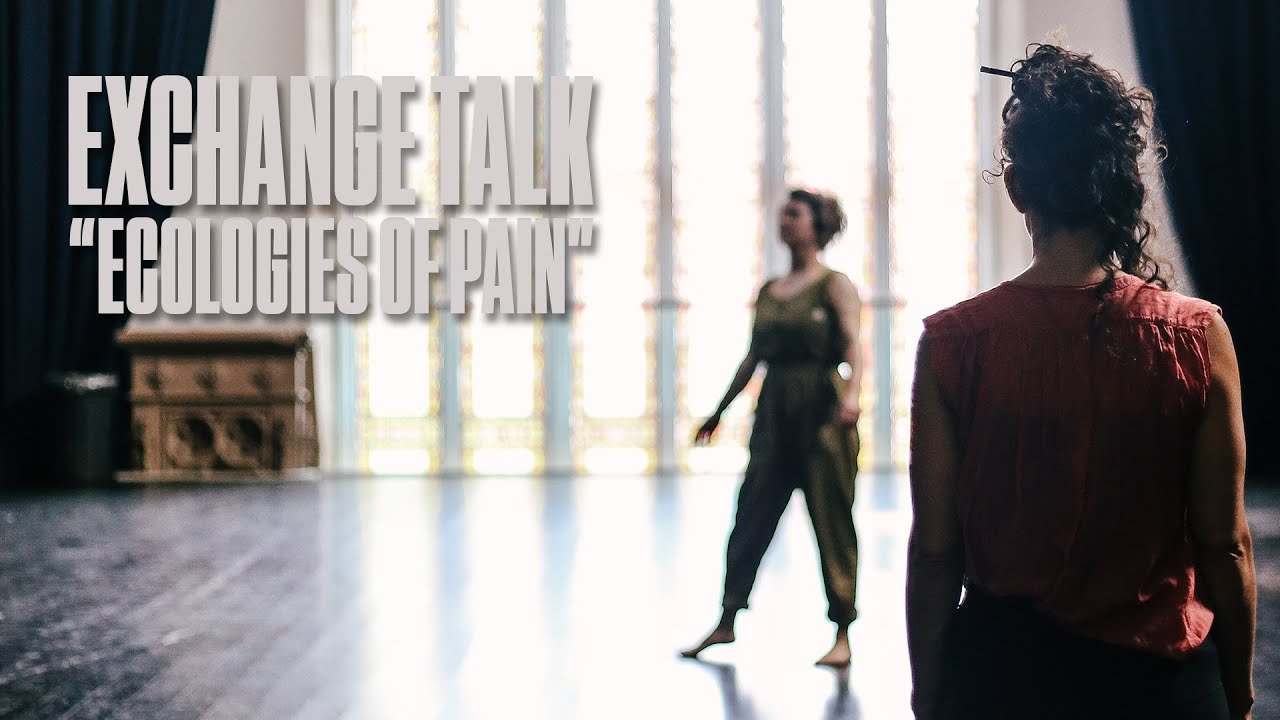 Exchange Talk: Sarah Hopfinger - Ecologies of Pain - YouTube