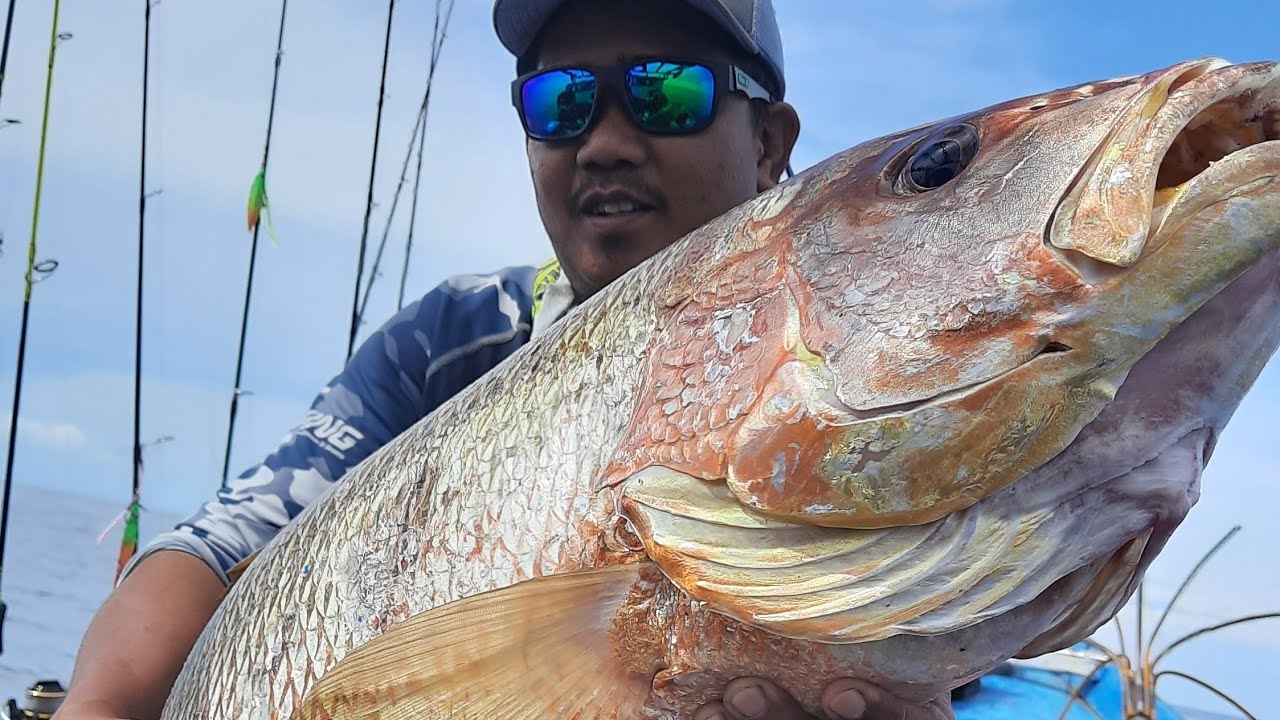 banyak sambaran ruby sniper di spot ini. bersama jigger fishing ...