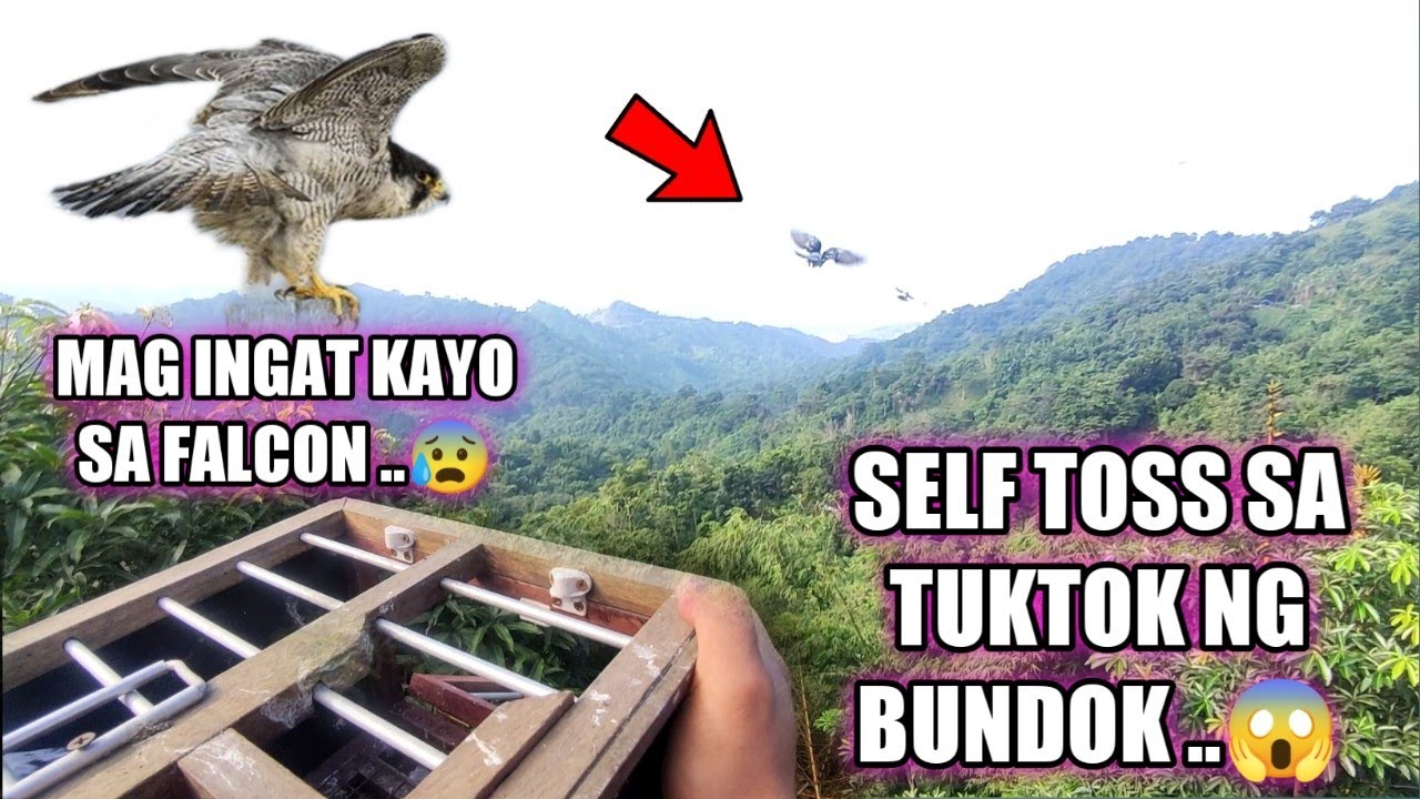 SELF TOSS SA TUKTOK NG BUNDOK..😱 | MAG INGAT KAYO SA FALCON..😰 - YouTube