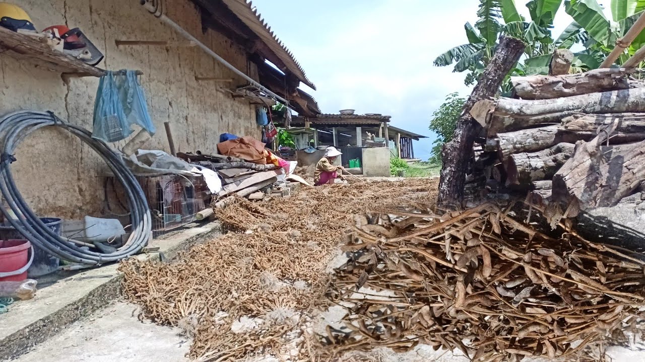 Mowing the lawn, digging the ground, separating the soybeans, Life in ...