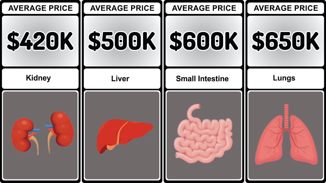 Price of Human Body Parts - YouTube
