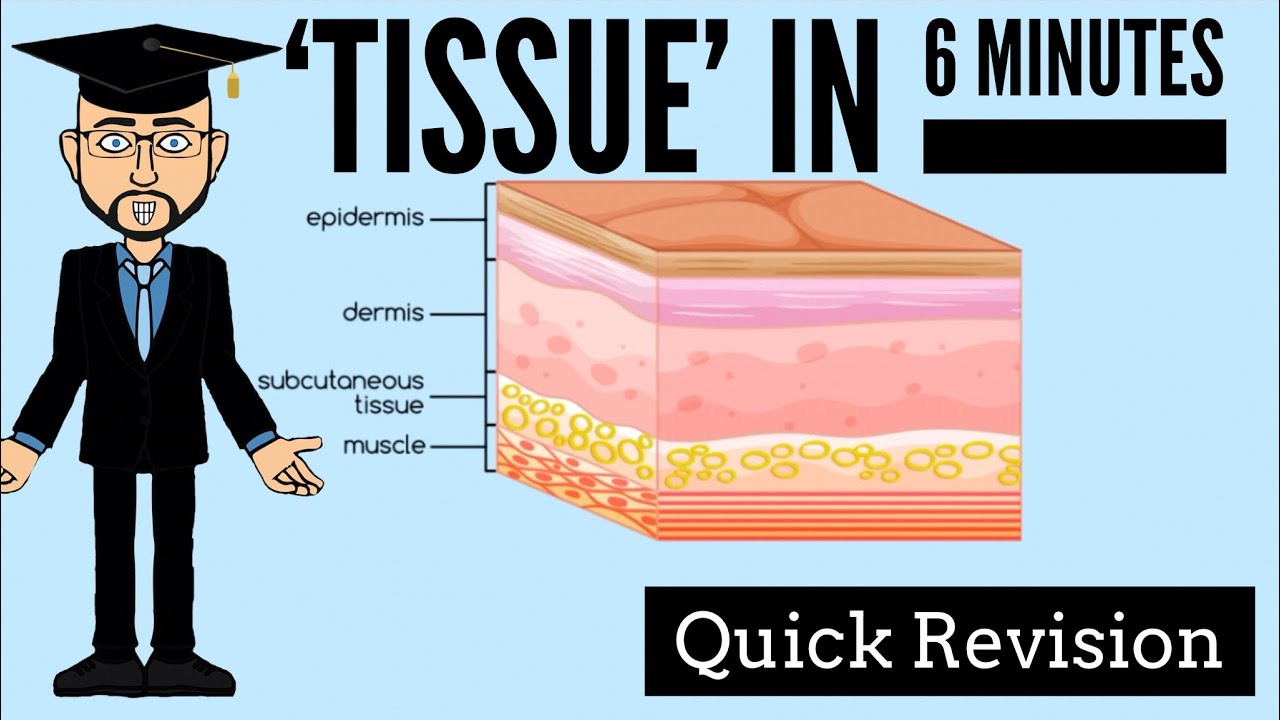 'Tissue' in 6 Minutes: Quick Revision - YouTube