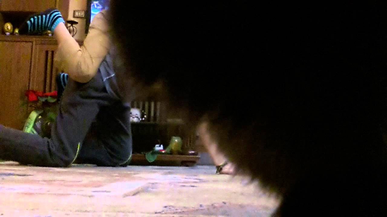 Trying to make push ups when my cat is present-_- - YouTube