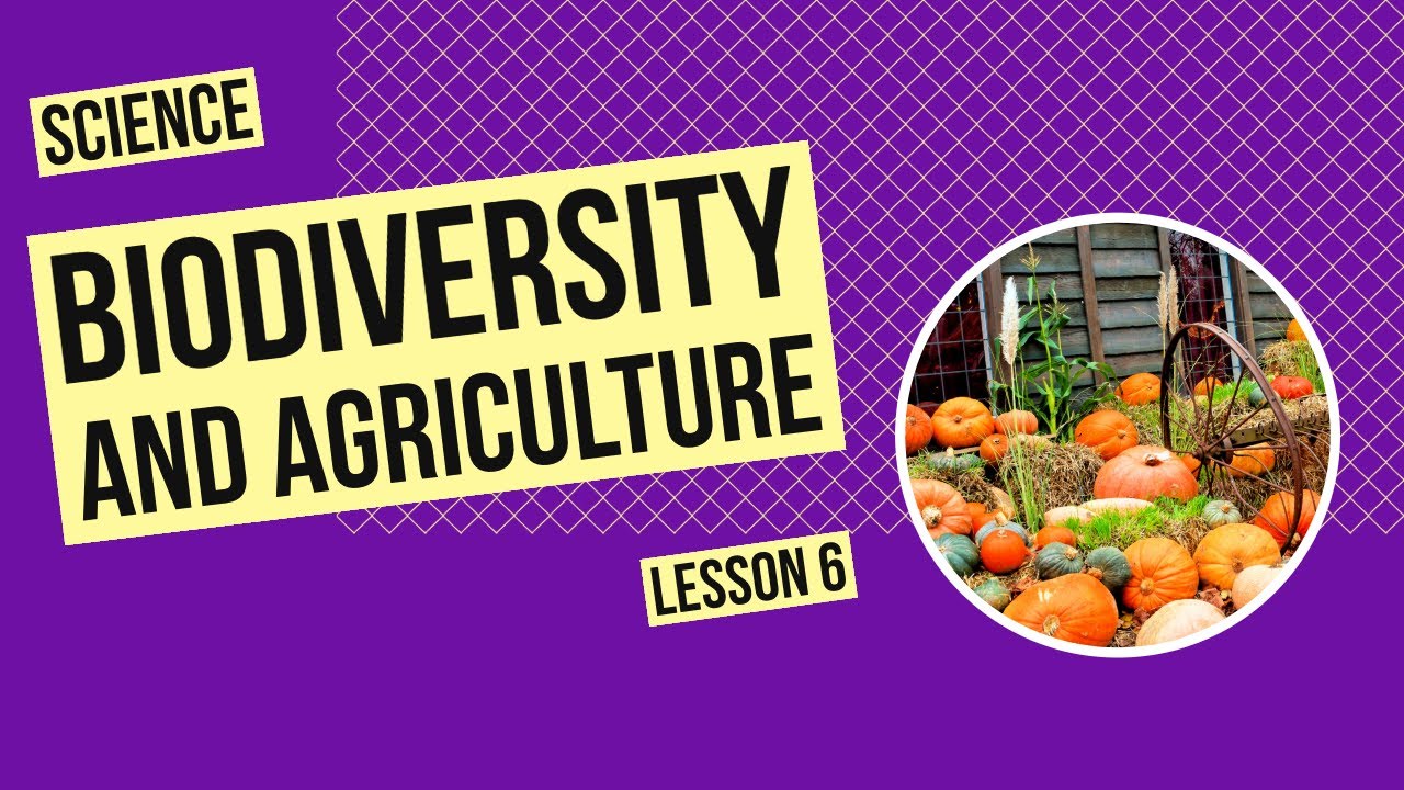 Biodiversity and Agriculture | Science Lesson - YouTube