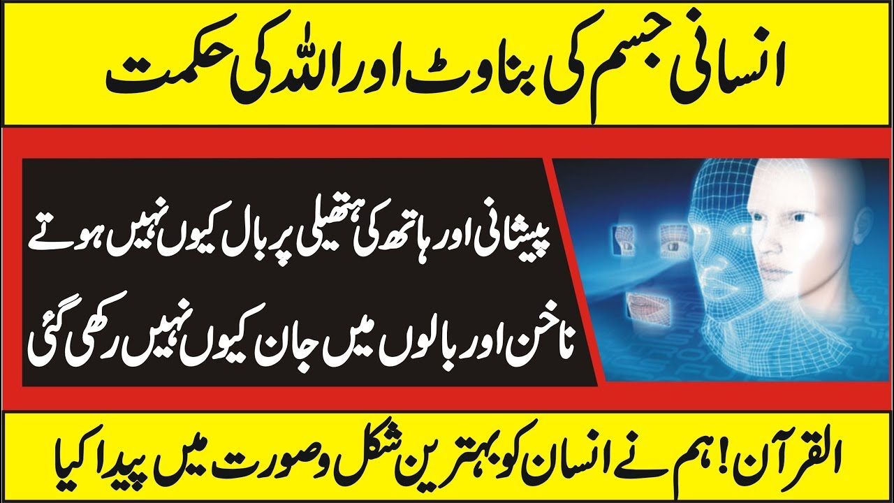 How Human Body Works Urdu Information About Body YouTube how-human-body-works-urdu-information-about-body-youtube