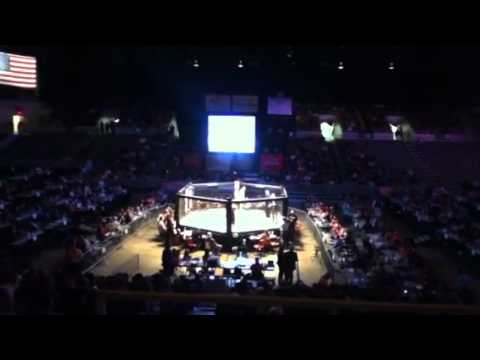 Impact Fighting Championship - YouTube