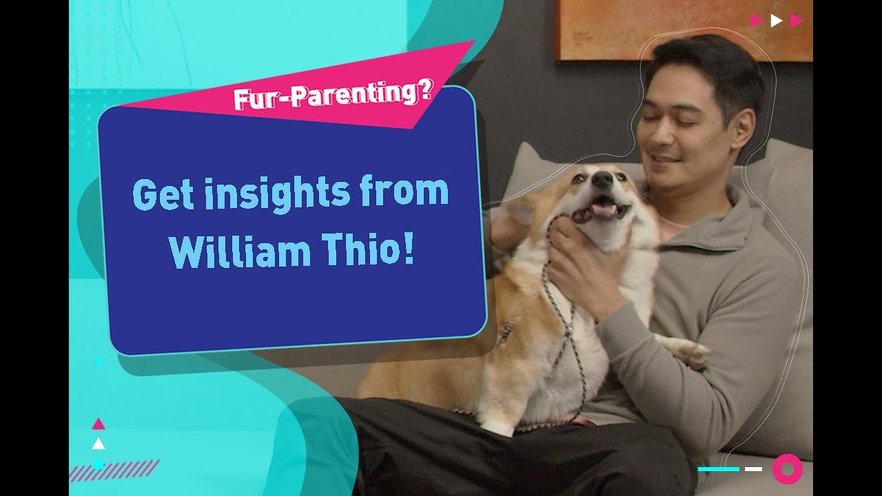 William Thio’s Insights on Fur-Parenting - YouTube