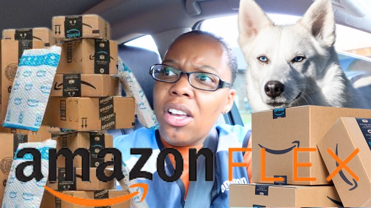 AMAZON FLEX | GET YOUR DOG - YouTube