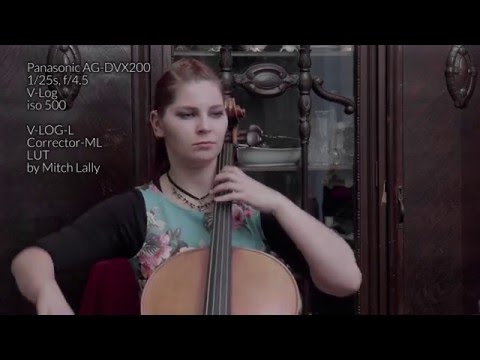 GH4R vs DVX200 - image comparison (V-Log, LUTs)