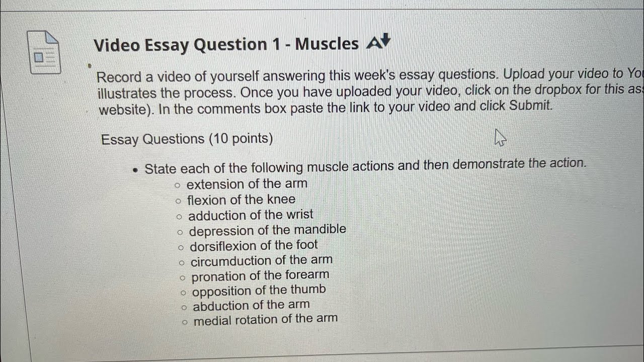 Video Essay- Muscles/muscle actions - YouTube