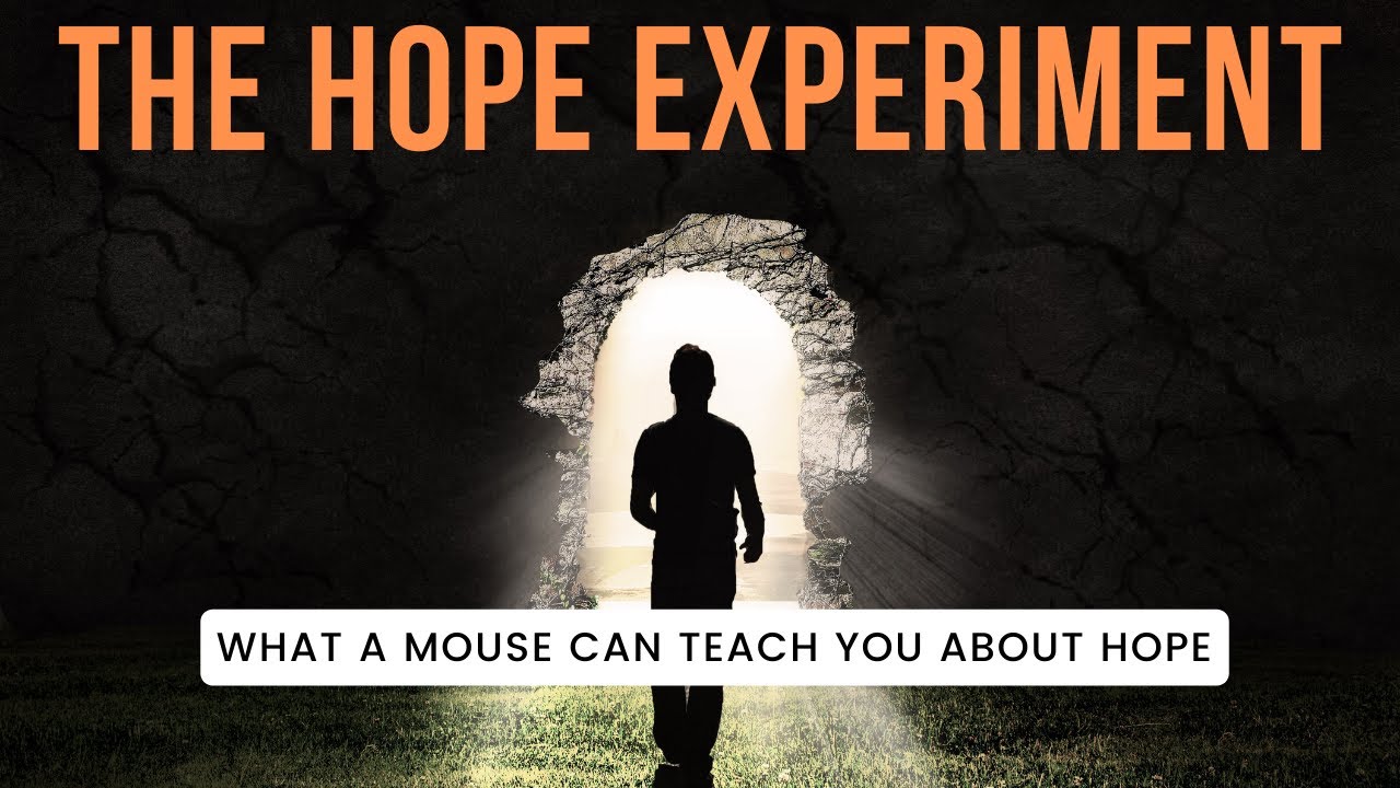 Positive Thinking Motivational Video : The Hope Experiment - YouTube