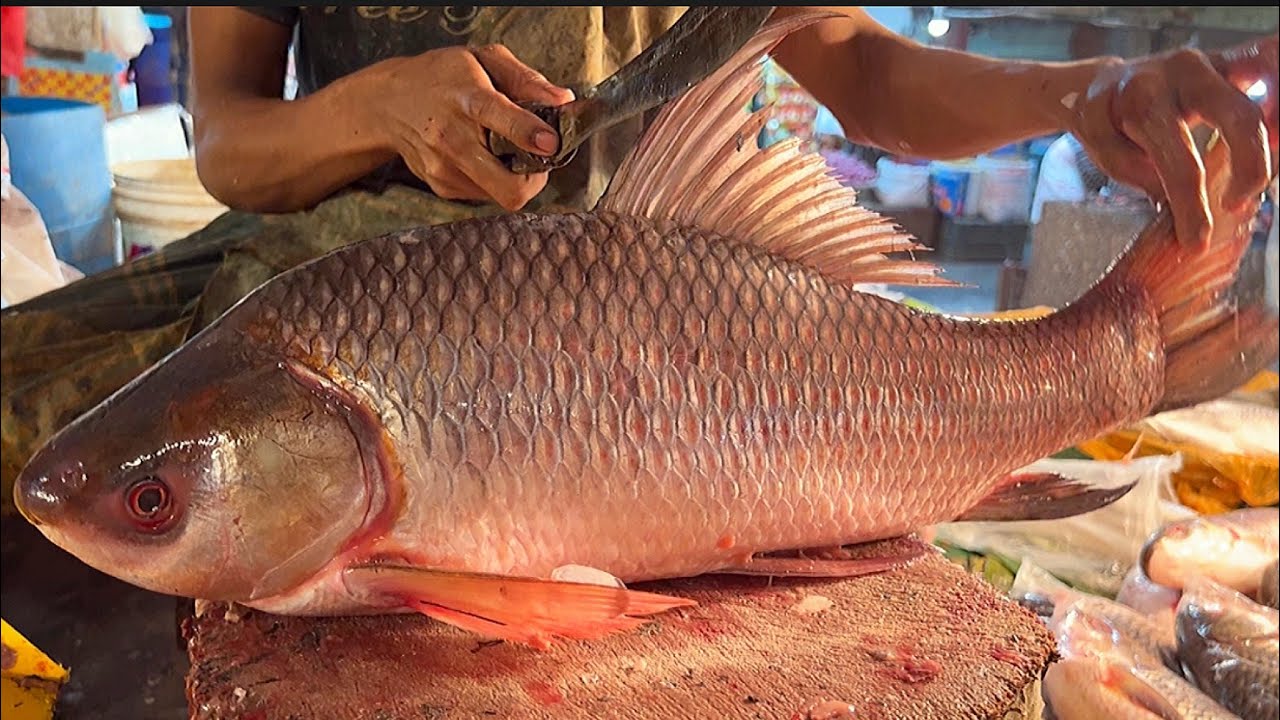 Popular Giant Rohu Fish Cutting In Bangladesh Local Market | Fish ...